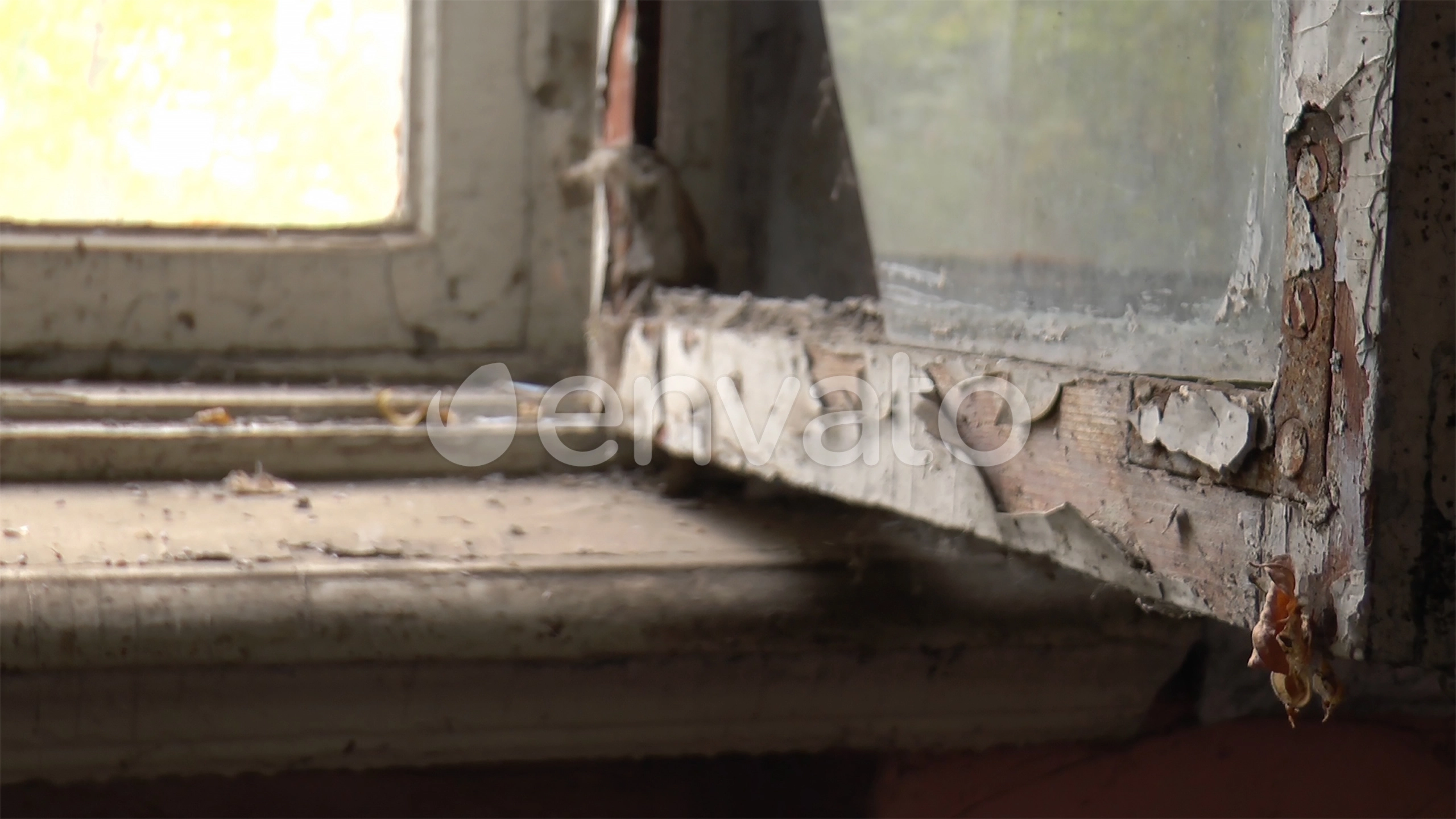 The Opening Window Of A Haunted House - PixaBob